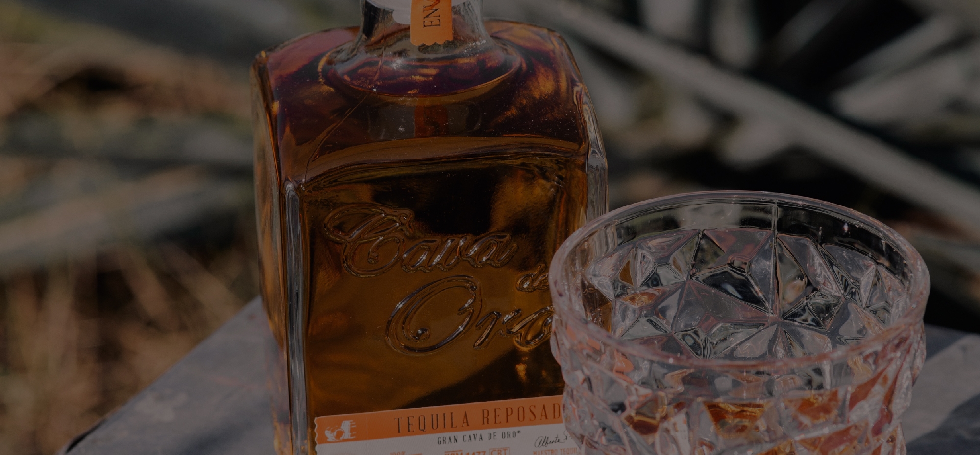 HOME - Tequila Cava de Oro