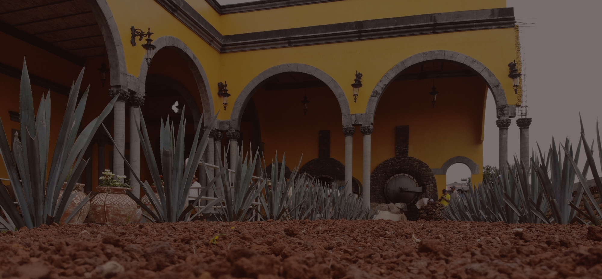 HOME - Tequila Cava de Oro